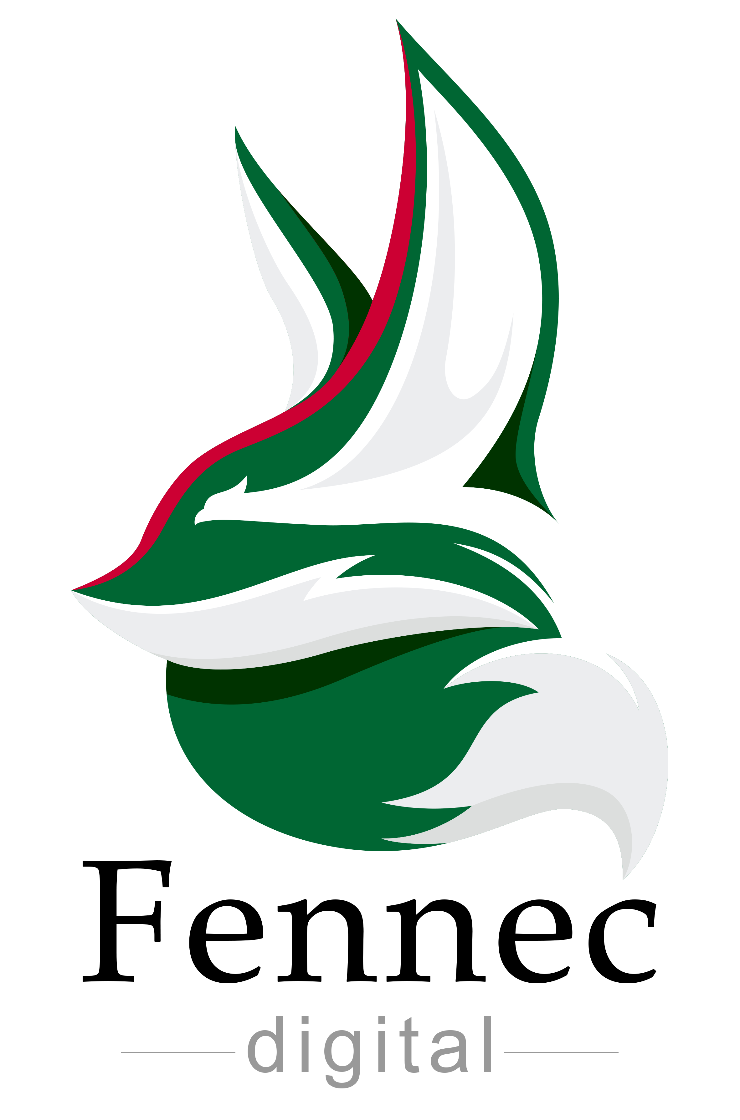 Digital Fennec | The pixel fox